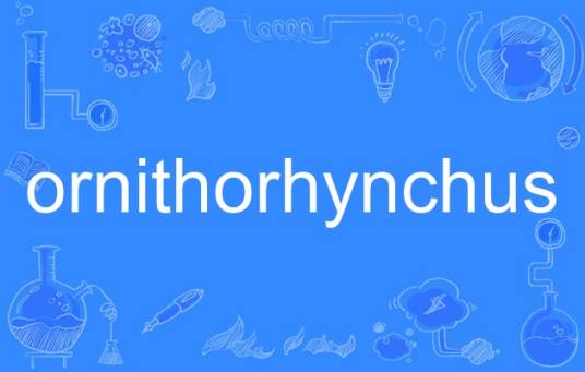 ornithorhynchus_百度百科