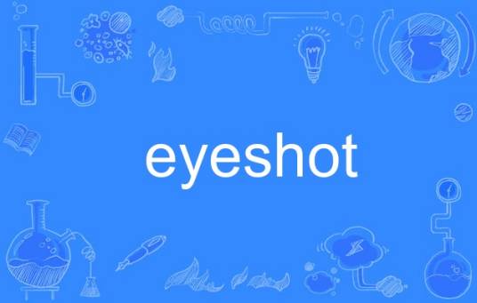 eyeshot_百度百科