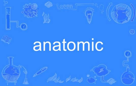 anatomic_百度百科