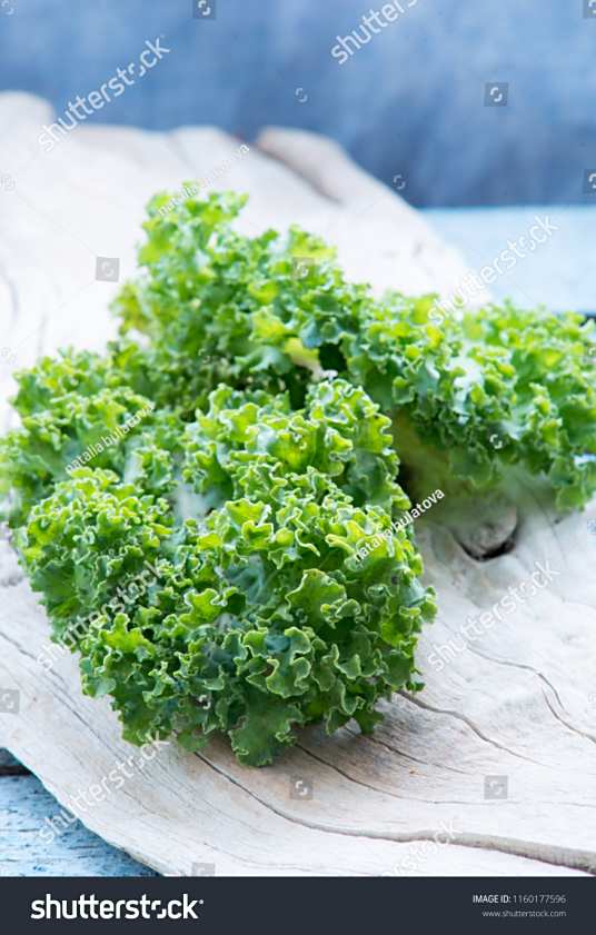 Kale（英语单词）百度百科