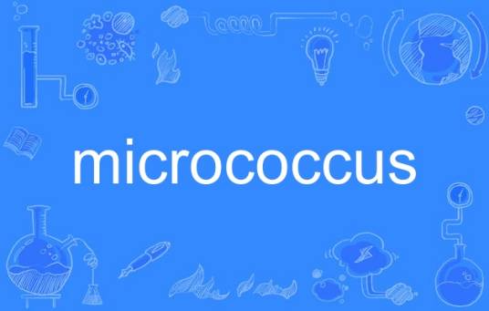 micrococcus_百度百科