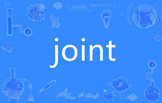 JOINT（英文单词）_百度百科