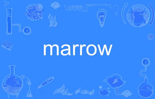 marrow_百度百科