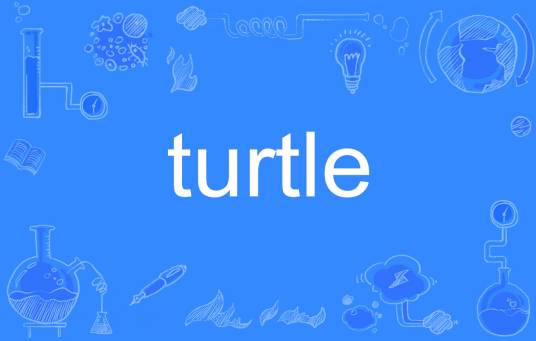turtle（英文单词）_百度百科