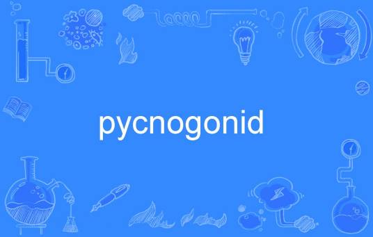 pycnogonid_百度百科