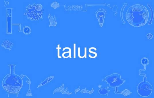 talus_百度百科