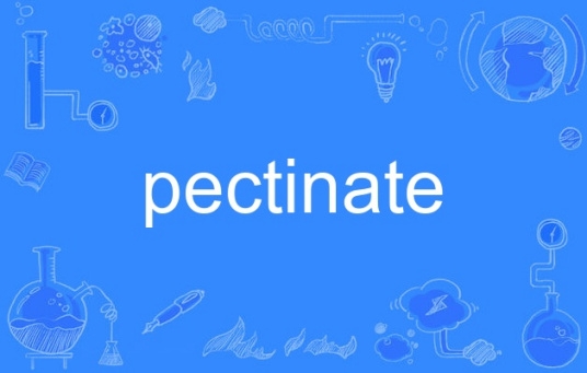 pectinate_百度百科