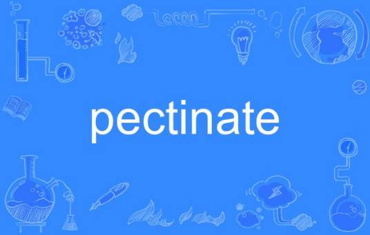 pectinate_百度百科