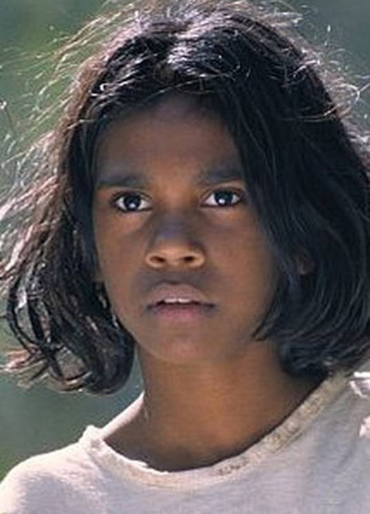 Everlyn Sampi_百度百科