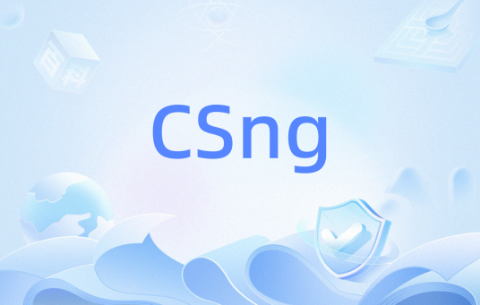 CSng_百度百科