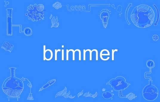 brimmer_百度百科
