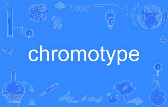 chromotype_百度百科