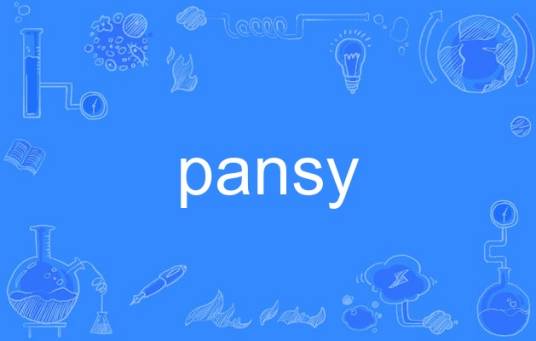 pansy_百度百科