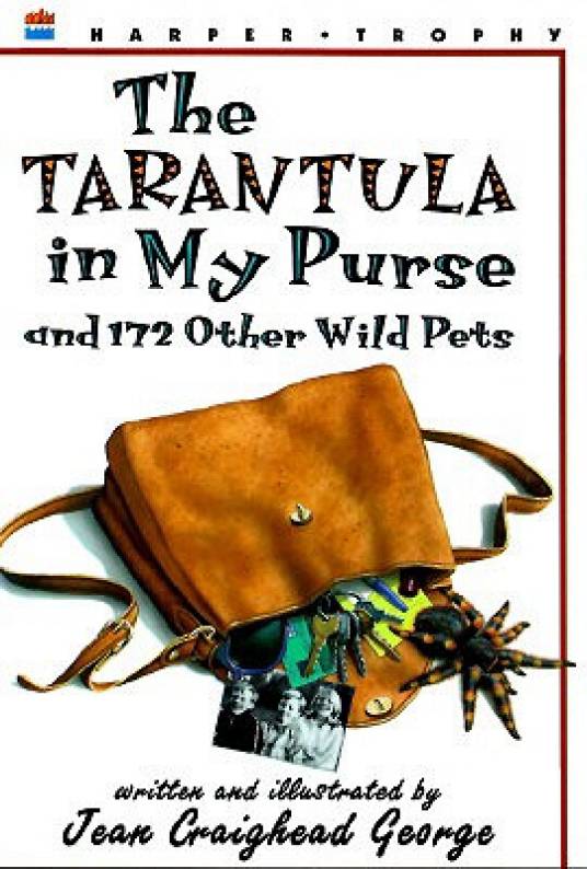 The Tarantula in My Purse_百度百科