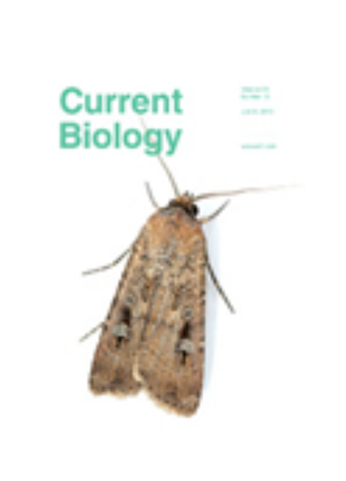 CURRENT BIOLOGY_百度百科