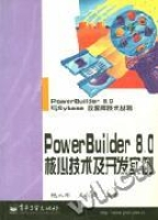 PowerBuilder8.0核心技术及开发实例_百度百科