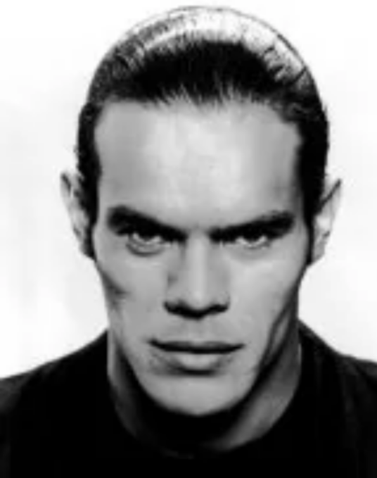 Vincent Klyn_百度百科