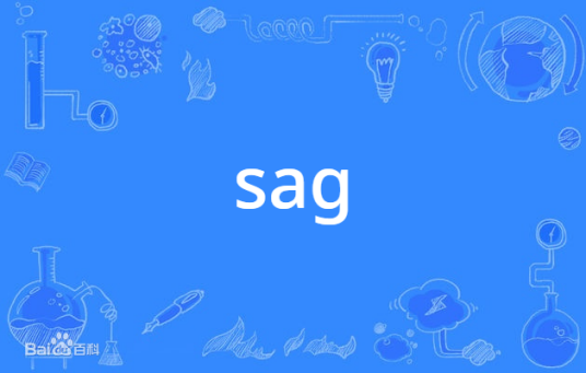 SAG（英语单词）_百度百科