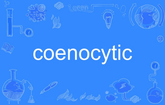 coenocytic_百度百科