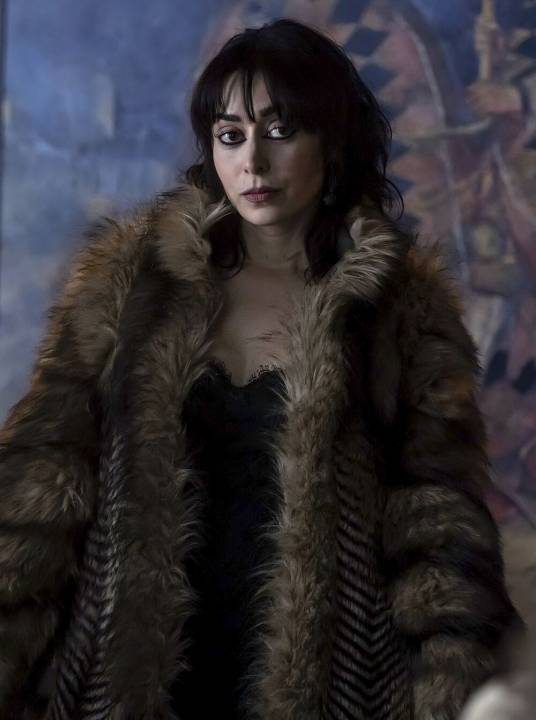 索菲亚·法尔科内（《企鹅人》中的反派角色）_百度百科