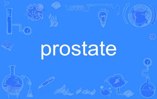 prostate_百度百科