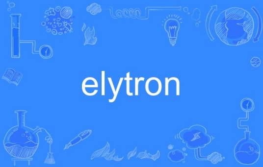 elytron_百度百科