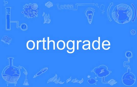 orthograde_百度百科