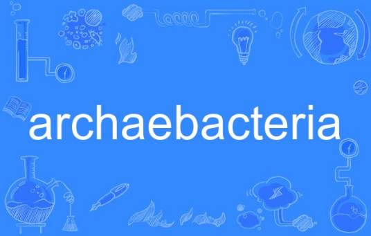 archaebacteria_百度百科