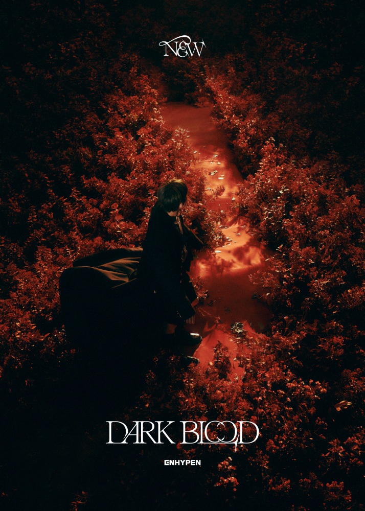 DARK BLOOD_百度百科