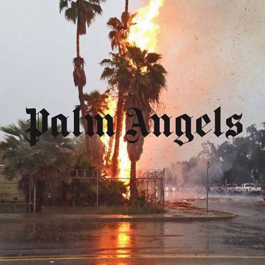 Palm Angels_百度百科