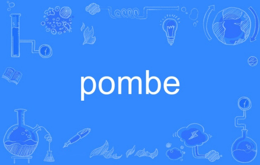 pombe_百度百科