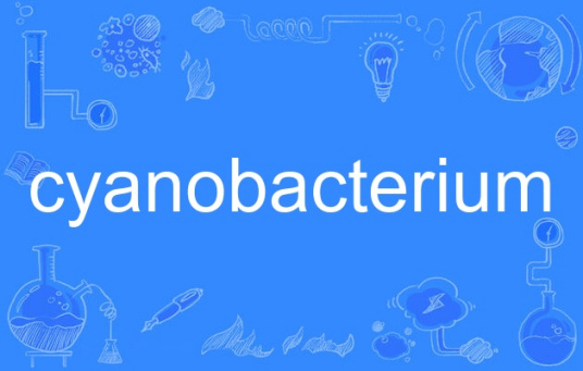 cyanobacterium_百度百科