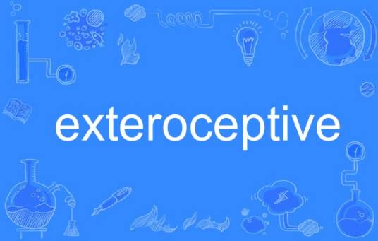 exteroceptive_百度百科