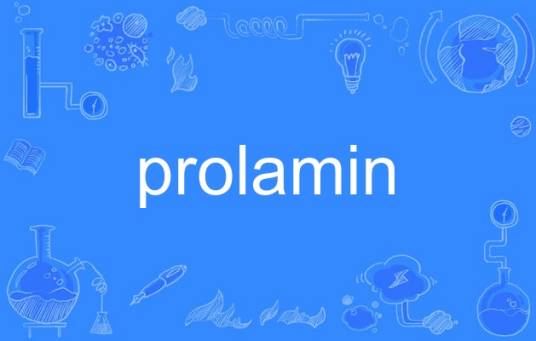 prolamin_百度百科