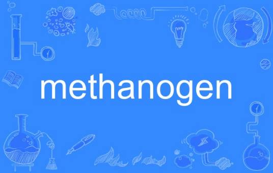 methanogen_百度百科