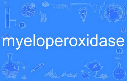 myeloperoxidase_百度百科