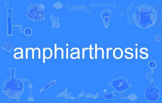 amphiarthrosis_百度百科