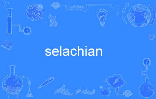 selachian_百度百科