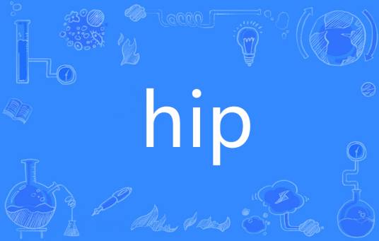 hip（英语单词）_百度百科