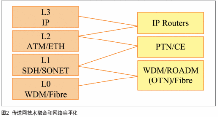 PTN_百度百科