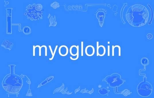 myoglobin_百度百科
