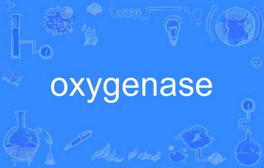 oxygenase_百度百科