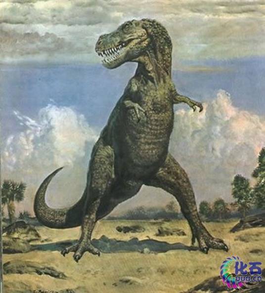 金刚口龙_百度百科