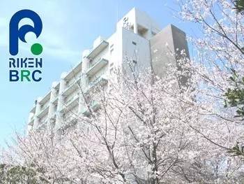 日本理化学研究所（RIKEN）的百年历史_百科TA说