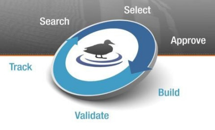 blackduck软件_百度百科