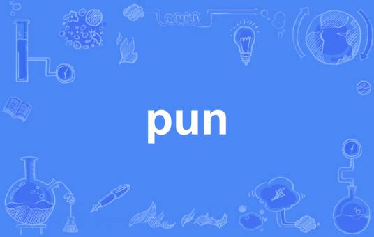pun_百度百科