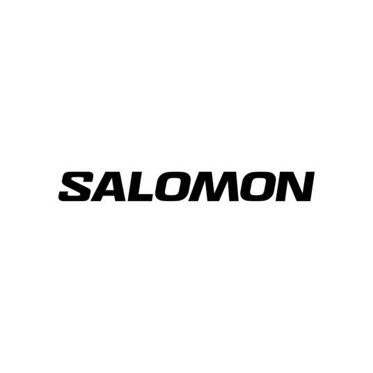 Salomon_百度百科