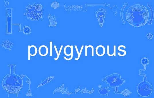 polygynous_百度百科