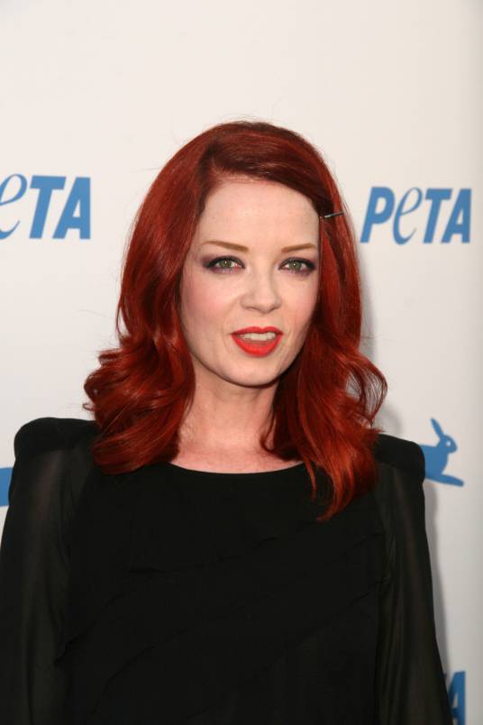 shirley manson_百度百科