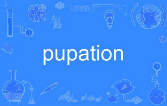 pupation_百度百科